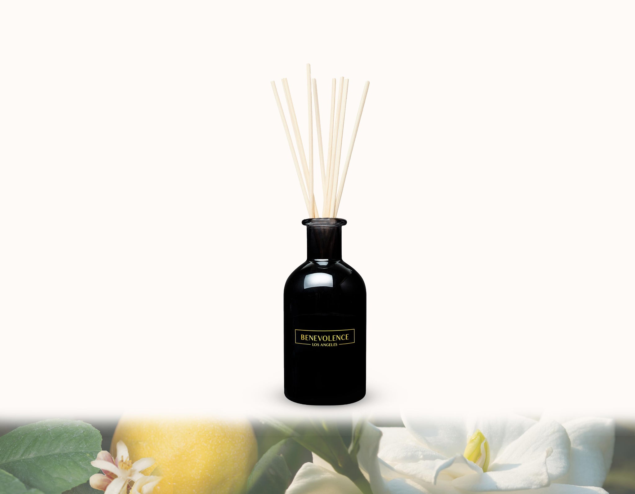 Bergamot & Jasmine Black Reed Diffuser Set | Benevolence LA