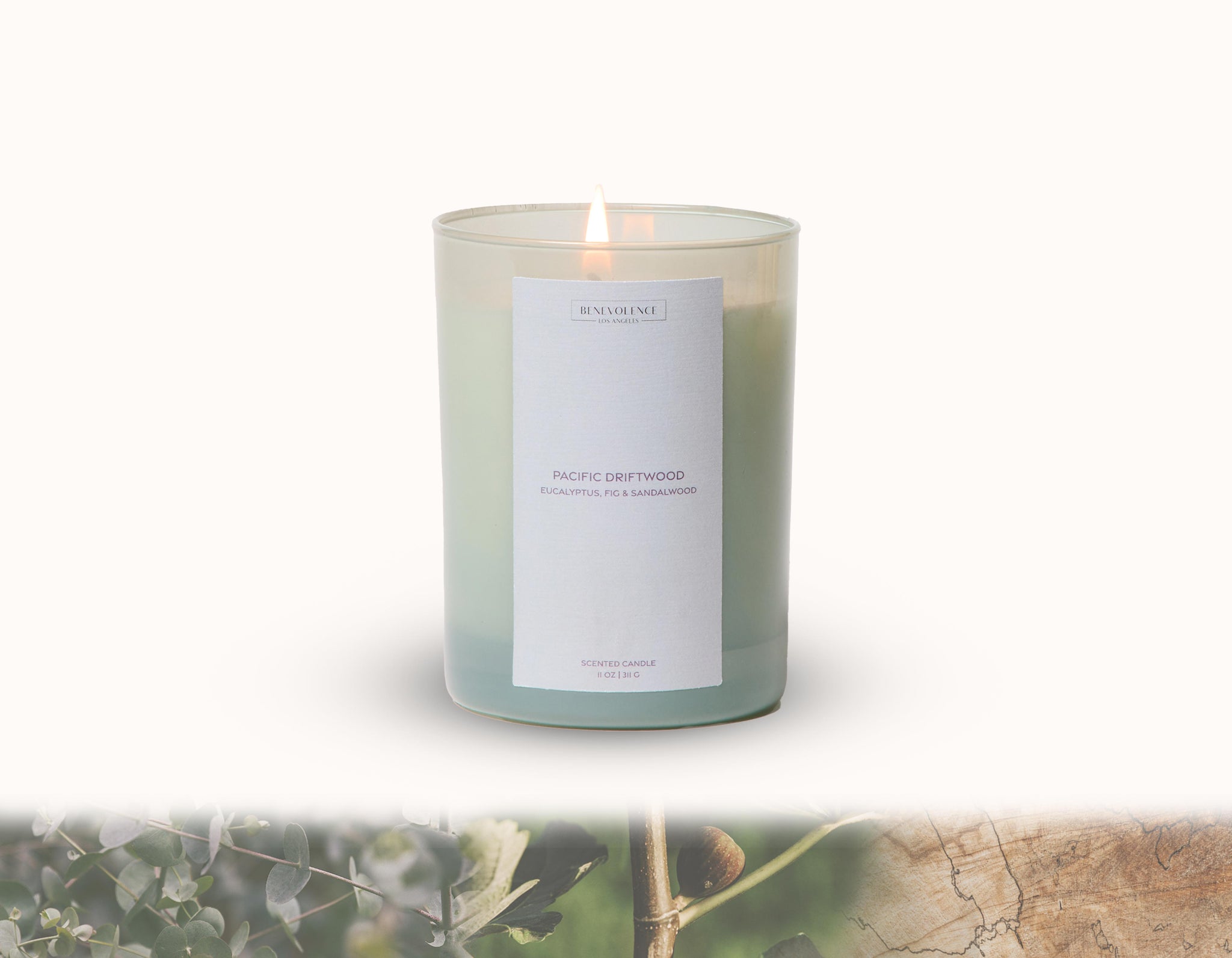 Pacific Driftwood Sun-Kissed Candle | Benevolence LA