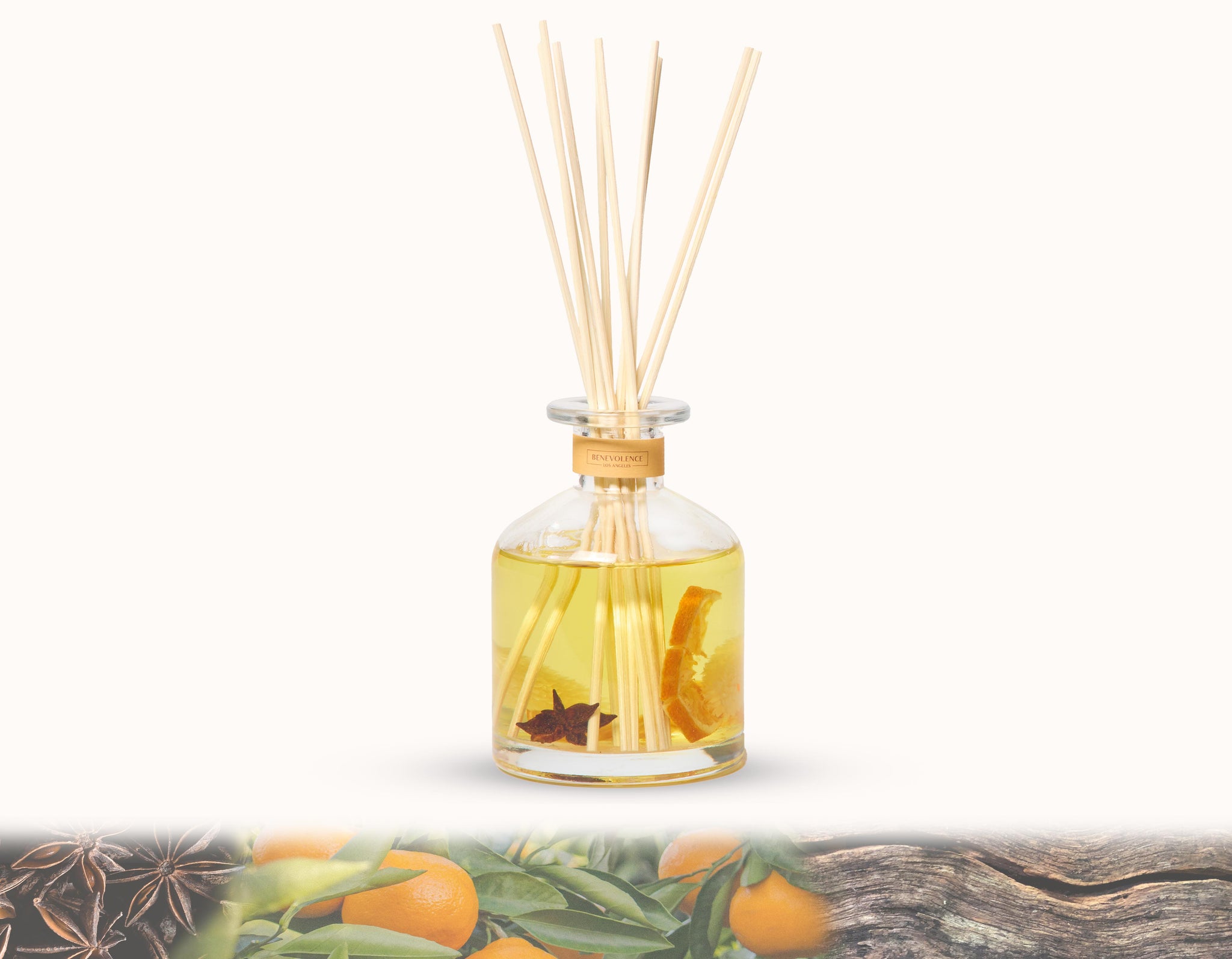 Golden Luster Sun-Kissed Reed Diffuser | Sun-Kissed Collection ...